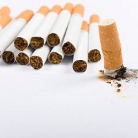 Tanaman Herbal yang Menolong Orang Berhenti Merokok