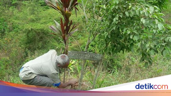 Kisah Hebat Mbah Sadiman, Pahlawan Penghijauan dari Wonogiri