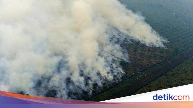 Asap Kebakaran Hutan Sampai ke Malaysia dan Singapura, Ini Langkah ...