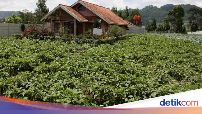 Pengertian HGB dan Aturannya