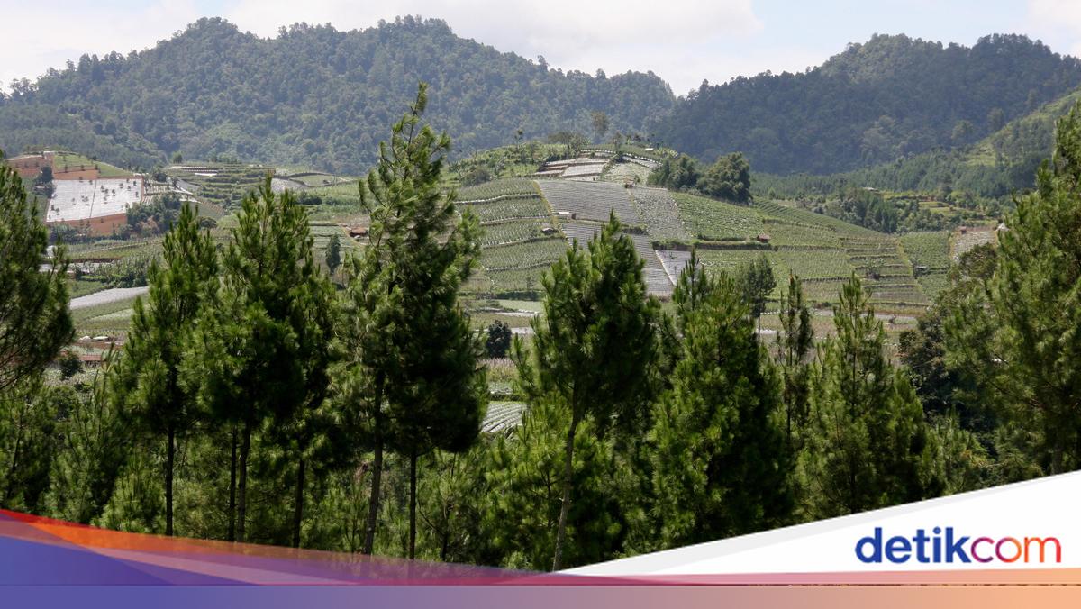 7 Pengertian Desa Menurut Para Ahli