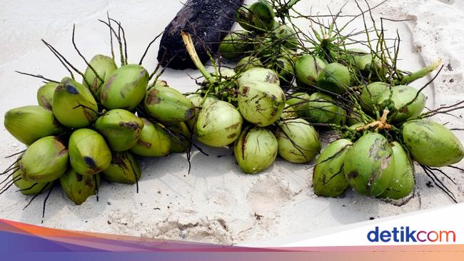 9 Manfaat Air Kelapa Muda bagi Kesehatan Tubuh, Apa Saja?