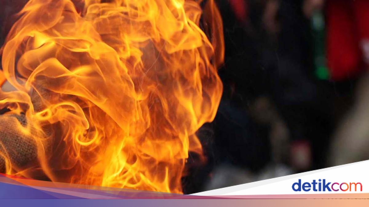 Apa Wujud Api Sebenarnya? Gas, Cair, atau Padat