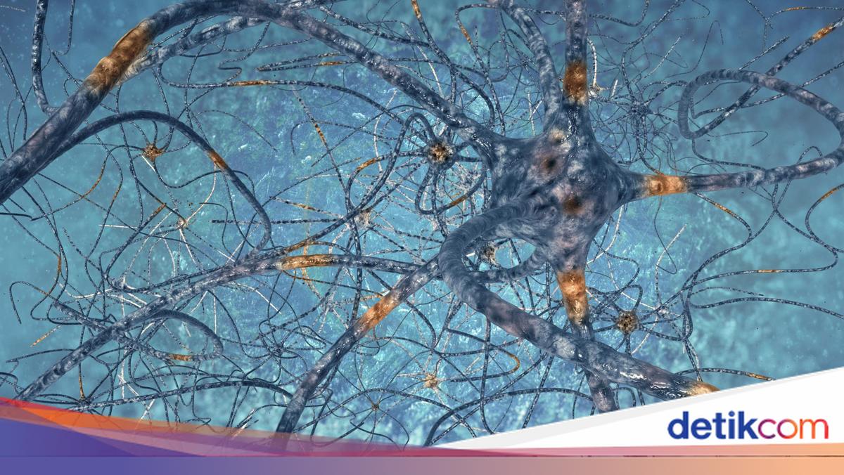 Fungsi Dendrit pada Saraf Manusia, Lengkap dengan Strukturnya