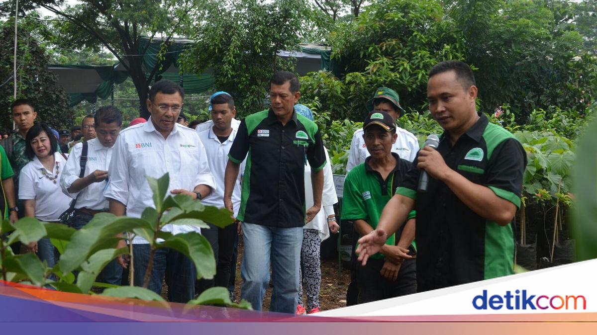 Bibit Pohon Gratis di Sentul Masih Banyak, Ayo Ambil Sebelum Kehabisan
