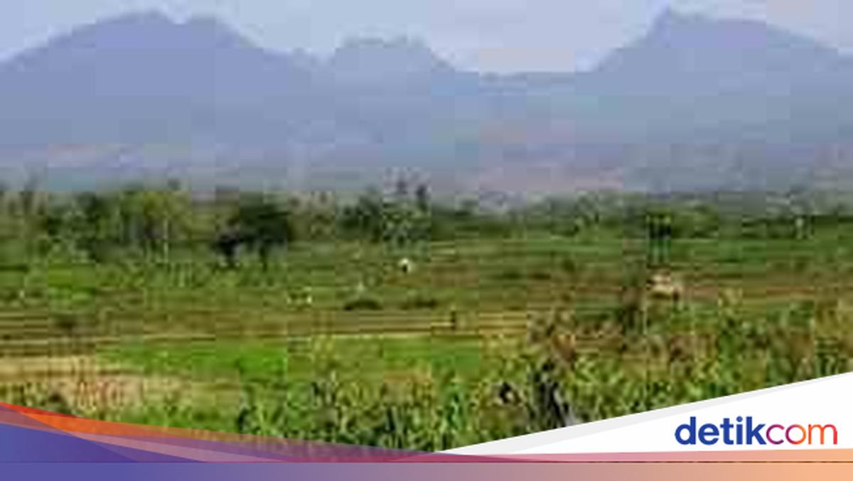Profil Gunung Wilis: Lokasi, Legenda, Jalur Pendakian, dan Daya Tarik