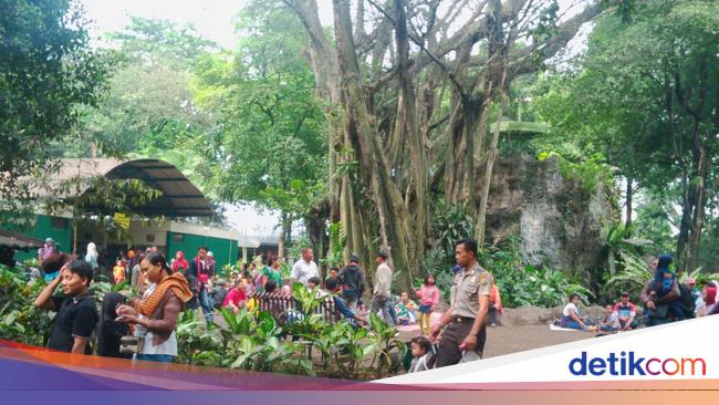 Libur Terakhir Tahun Baru 2016, Penjual Tikar di Ragunan Laris Manis