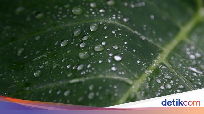 Kondensasi Adalah: Bentuk, Faktor, dan Perannya dalam Siklus Air