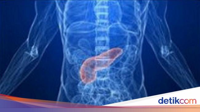Bagian dan Fungsi Pankreas dalam Tubuh Manusia, Pahami Ya Bestie!