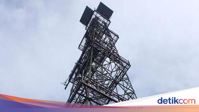 Awasi Emisi Gas Kebun Sawit, Malaysia Bangun Menara Pantau 40 Meter
