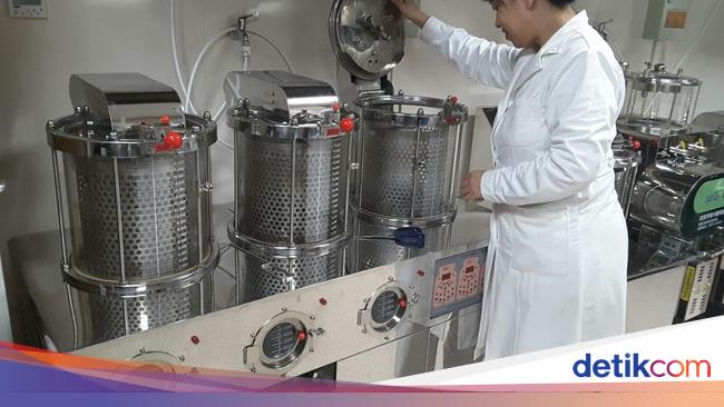 Terapi Sel Punca di China, Atasi Gangguan Otak, Lutut, Sampai Infertilitas