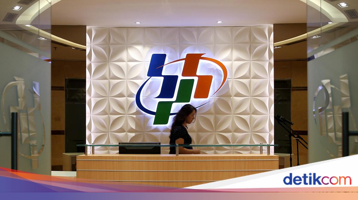 Hari Statistik Nasional (HSN) 2024: Sejarah hingga Tema Tahun Ini