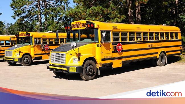 Kenapa Bus Sekolah Warna Kuning, Bukan Merah, Hijau, atau Biru?