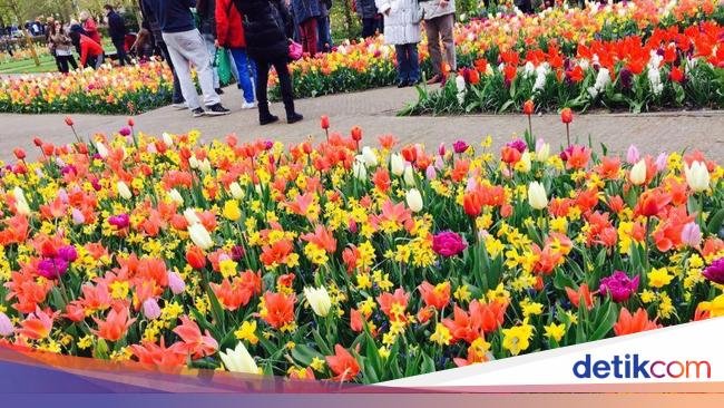 Hati Berbunga-bunga di Taman Keukenhof, Belanda