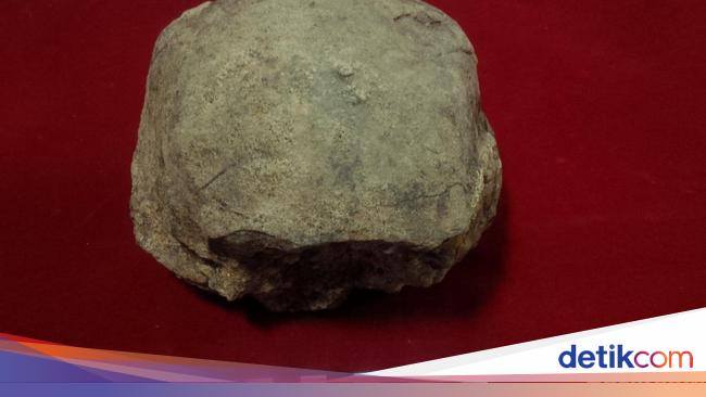 Temuan Fosil Manusia Purba Sejak Zaman Belanda di Sangiran