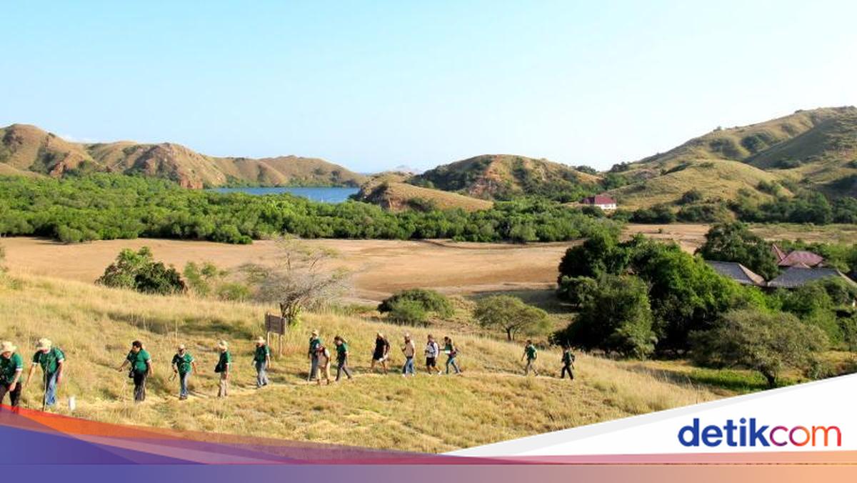 BTNK Tangkap 16 Turis Asing di TN Komodo