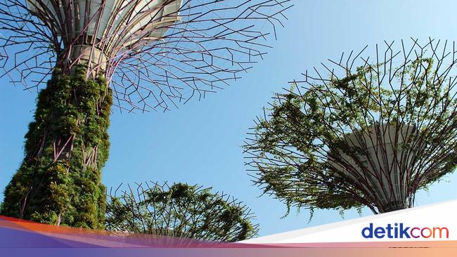 Melihat Bunga & Tumbuhan Dunia di Gardens by The Bay