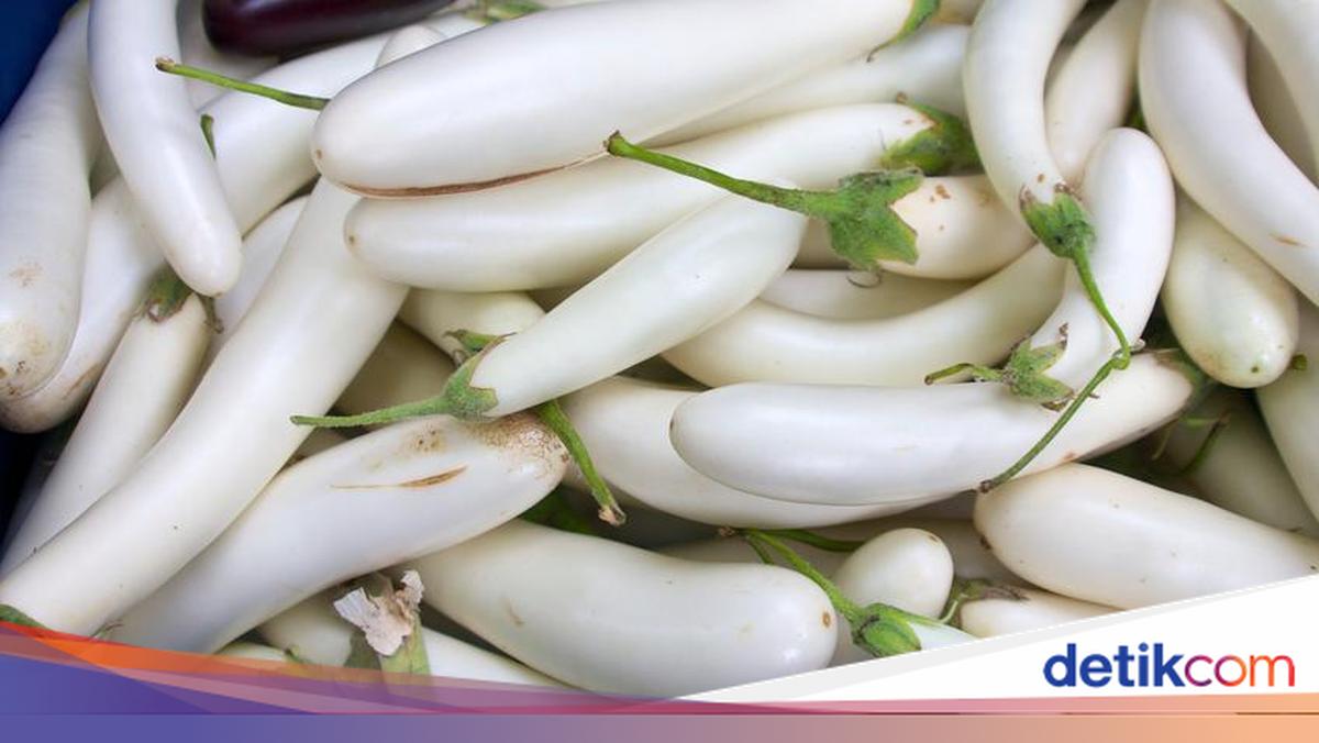 Selain Terung Ungu, Jenis Terung Ini Juga Patut Dicicip