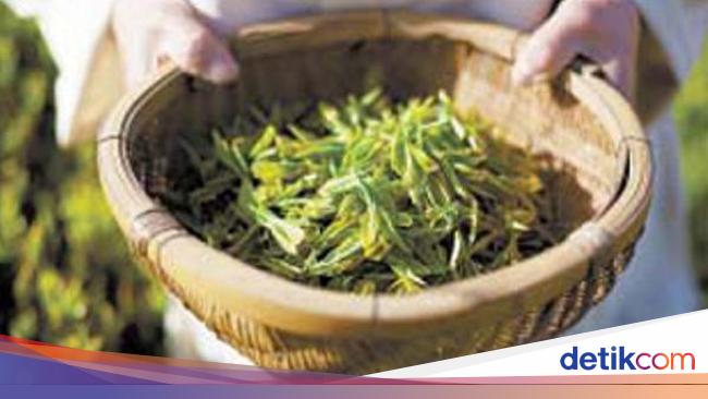 Proses Pengolahan Teh Tradisional Korea Resmi jadi Warisan Budaya Non Benda