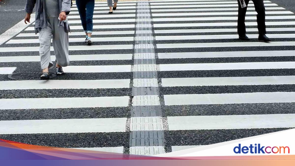 Zebra Cross Dulunya Berwarna Biru Kuning, Ini Sejarah dan Aturannya