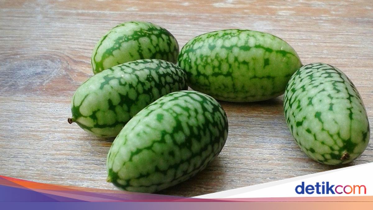 Cucamelon, si Imut yang Mirip Semangka dan Mentimun