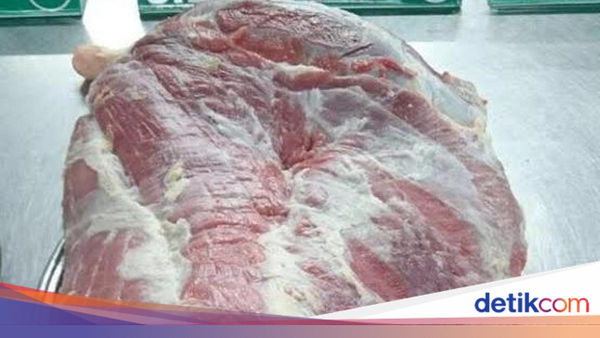 Harganya Rp 100.000/Kg, Begini Alur Distribusi Daging Kerbau India