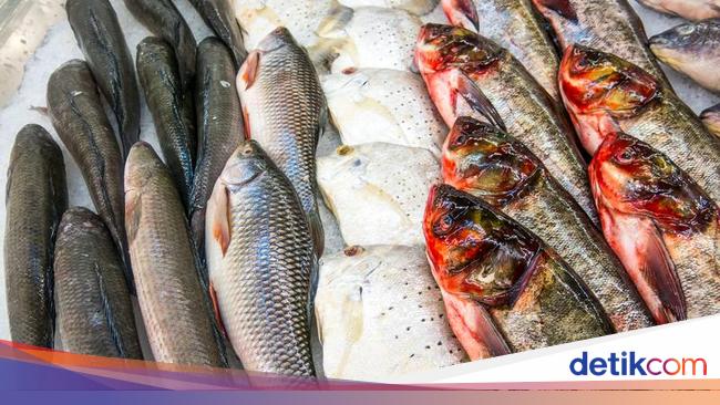 5 Ikan Paling Menyehatkan yang Cocok Untuk Diet