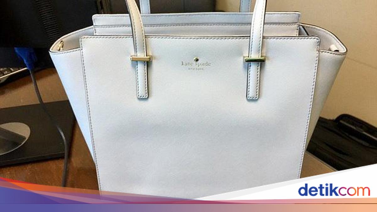 Netizen Memperdebatkan Warna Tas Kate Spade Ini, Biru atau Putih?