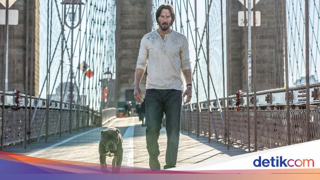 Sinopsis Film John Wick: Balas Dendam dari Duka Mendalam