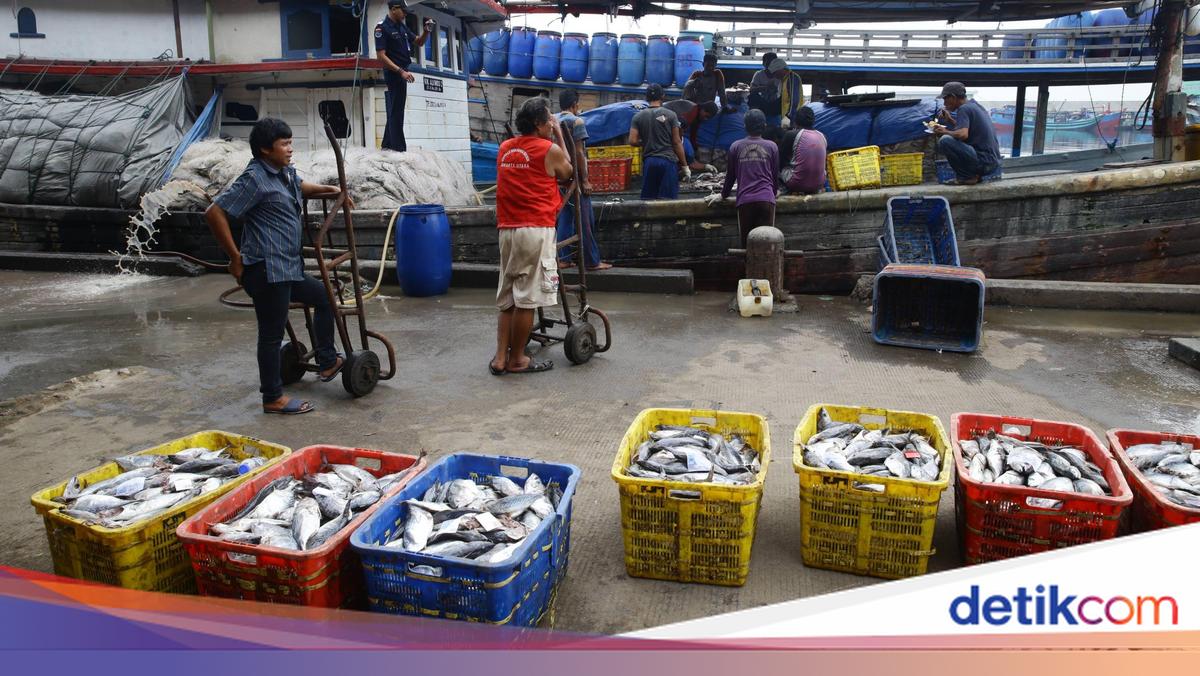 Perum Perindo Benahi Tarif Sewa di Pelabuhan Muara Baru