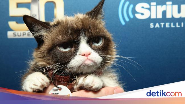 Game Si Kucing Jutek Grumpy Cat akan Segera Hadir