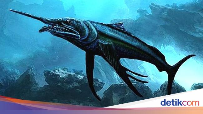 Fosil 'Ikan Pedang' Zaman Dinosaurus Ditemukan di Australia