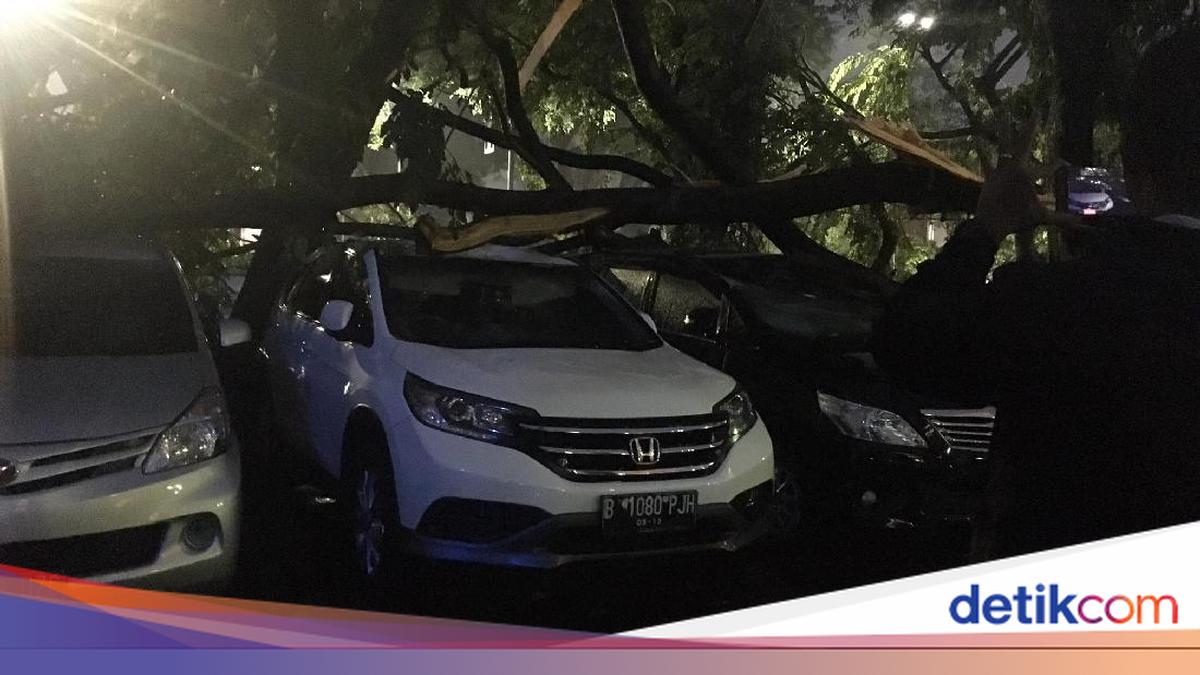 Puluhan Mobil di Gedung Panin Bank Senayan Tertimpa Pohon Tumbang