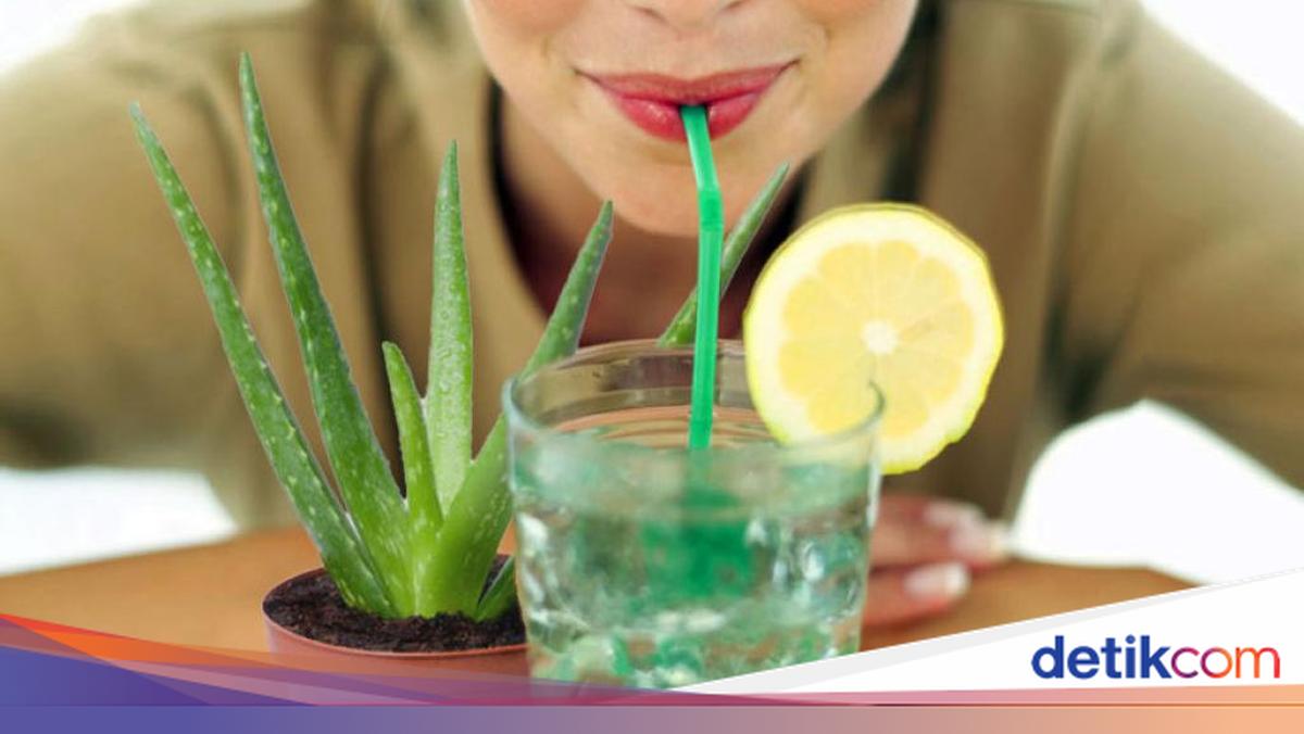 Minum Jus Lidah Buaya Jadi Tren Kesehatan di TikTok, Pakar Ungkap Bahayanya
