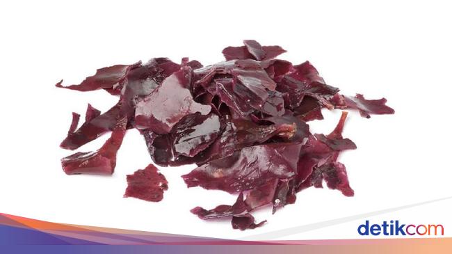 Rumput Laut Merah Ini Sedang Tren, Rasanya Mirip Bacon dengan Nutrisi ...