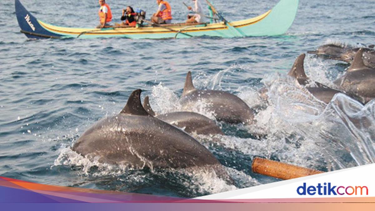 12 Rekomendasi Wisata di Tanggamus, Spot Lihat Lumba-lumba hingga Air ...