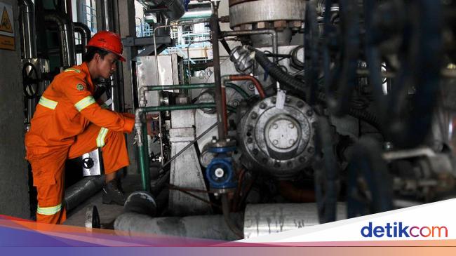 PLN Tender 2 Proyek PLTU Mulut Tambang Tahun Ini