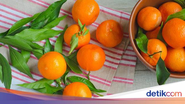 Super Nova, Rajanya Jeruk yang Manis dan Tanpa Biji