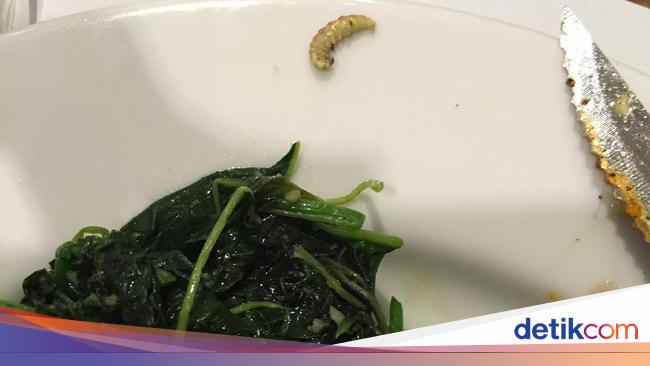 Ada Ulat di Bayam Holycow!, Ini Penjelasan Lucy Wiryono