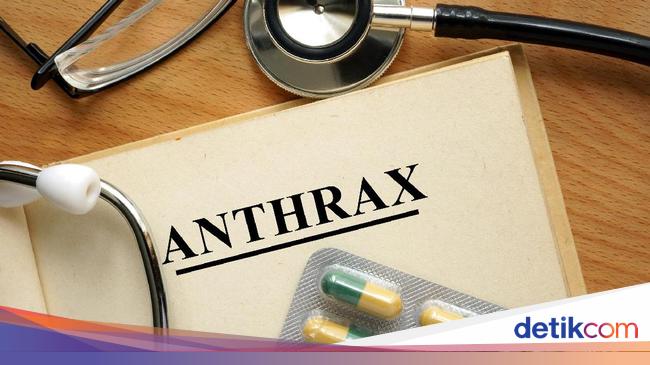 Warga Wonogiri Positif Antraks di Gunungkidul, Sumber Penularan Misterius