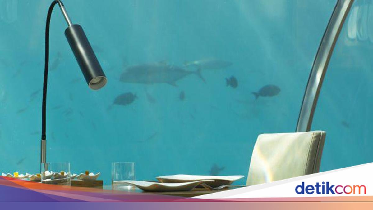 Restoran Bawah Laut dan Air Terjun, Restoran Unik di Dunia (1)