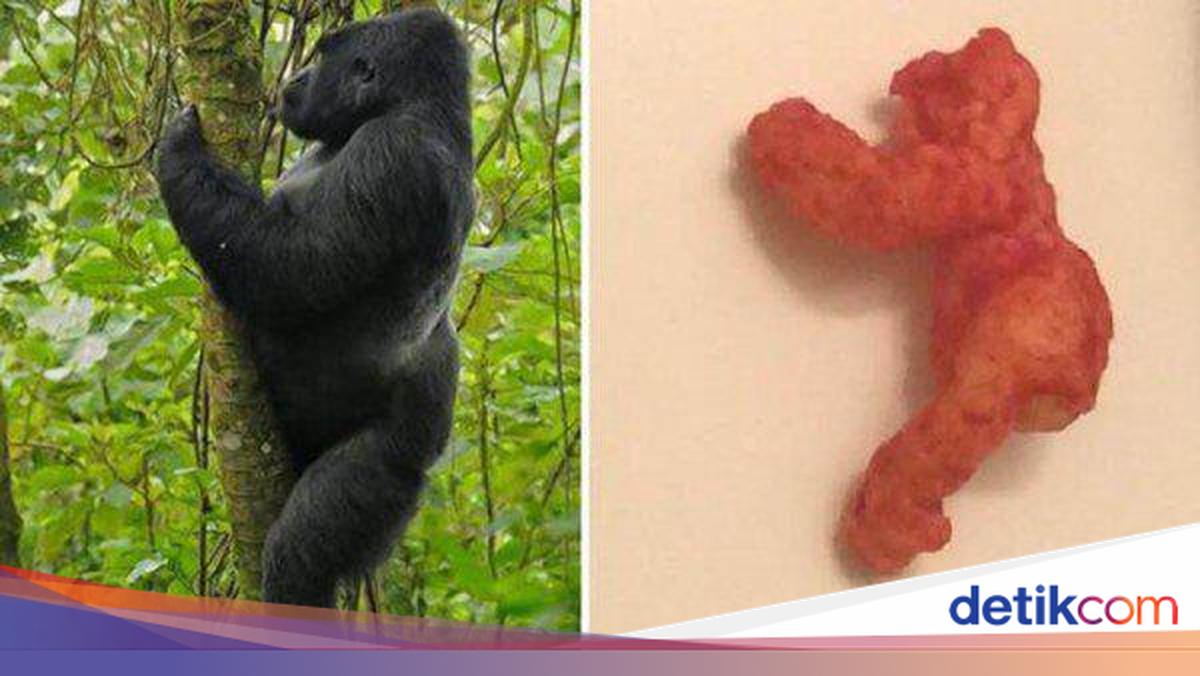 Wow, Satu Keping Cheetos Mirip Gorilla Harambe Ini Terjual Rp 1,3M!