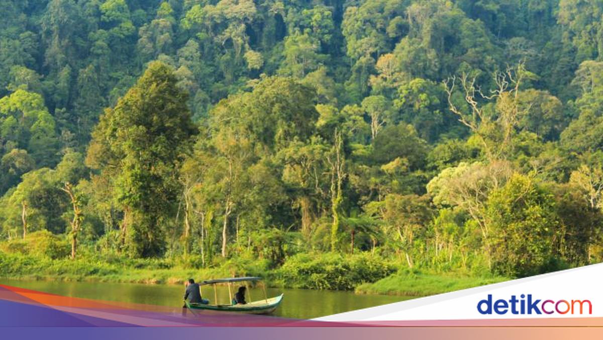 Harga Tiket Masuk Gunung Pangrango, Lengkap dari 3 Jalur Pendakian