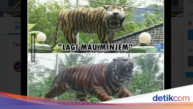 TNI Juga Bikin Meme Macan Lucu Cisewu