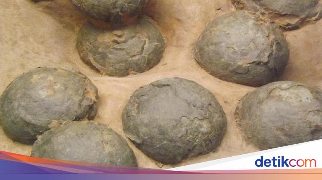250 Fosil Telur Dinosaurus Ditemukan di Negara Asia, Tepatnya Ada di Mana?