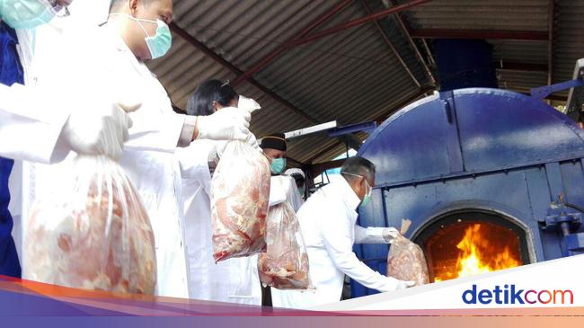 Daging Celeng Dipasok ke Jawa dari 3 Daerah di Sumatera