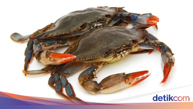 Wah, Kepiting Hidup Ini Masih Makan Sayuran Saat Dimasak!