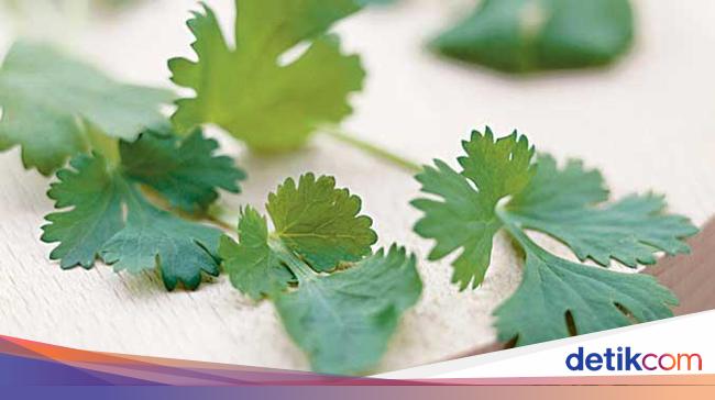 7 Manfaat Daun Parsley untuk Kesehatan yang Jarang Diduga