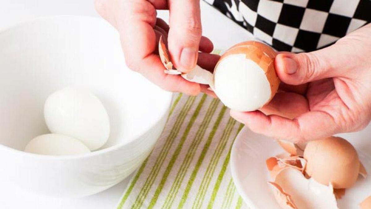 Alasan Memilih Telur Sebagai Menu Sarapan Sehat