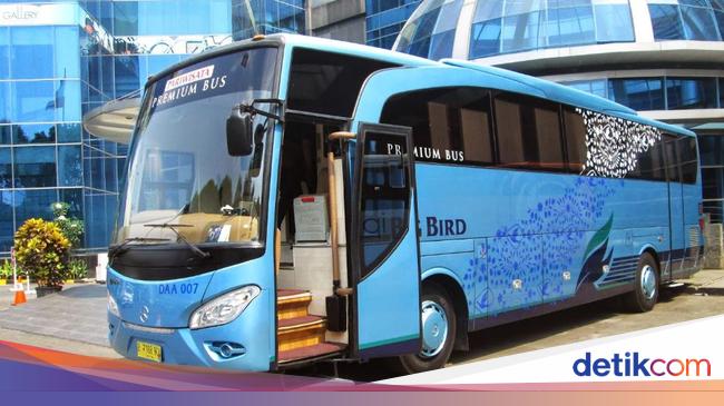 Nyamannya Mudik Naik Bus Rasa Pesawat Kelas Bisnis